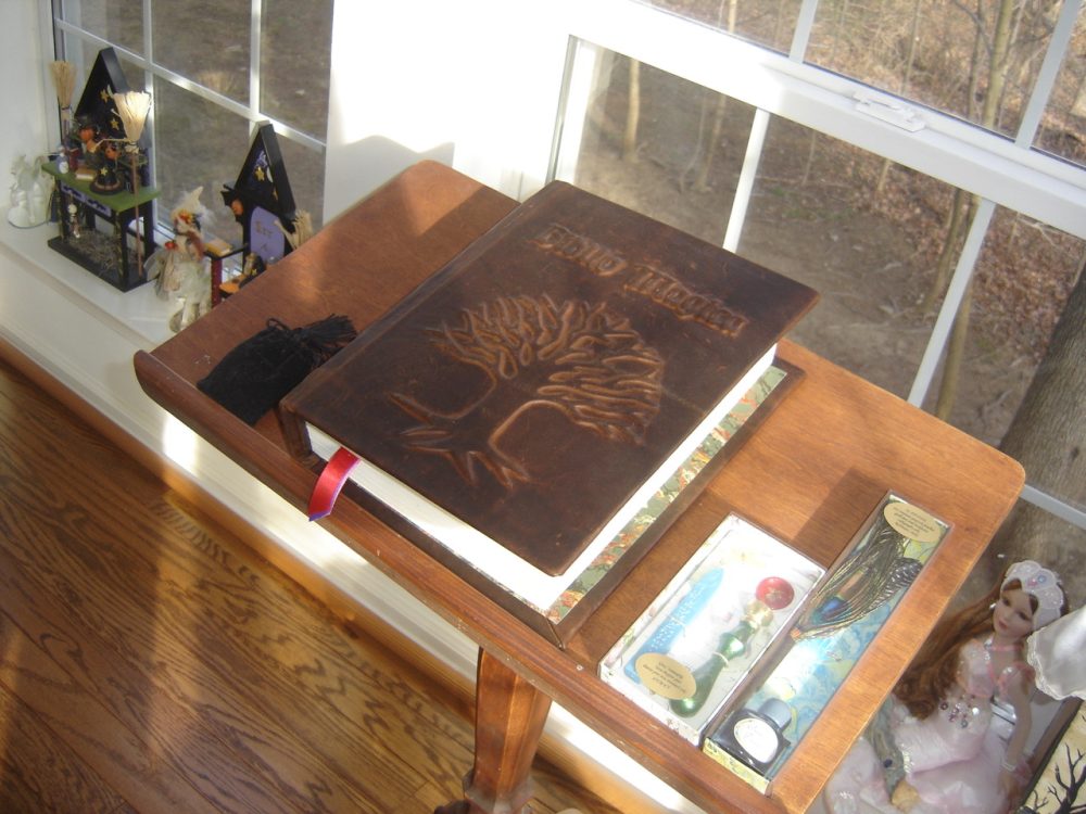 Custom Book Cover Designs handcrafted by LaPulia Studio